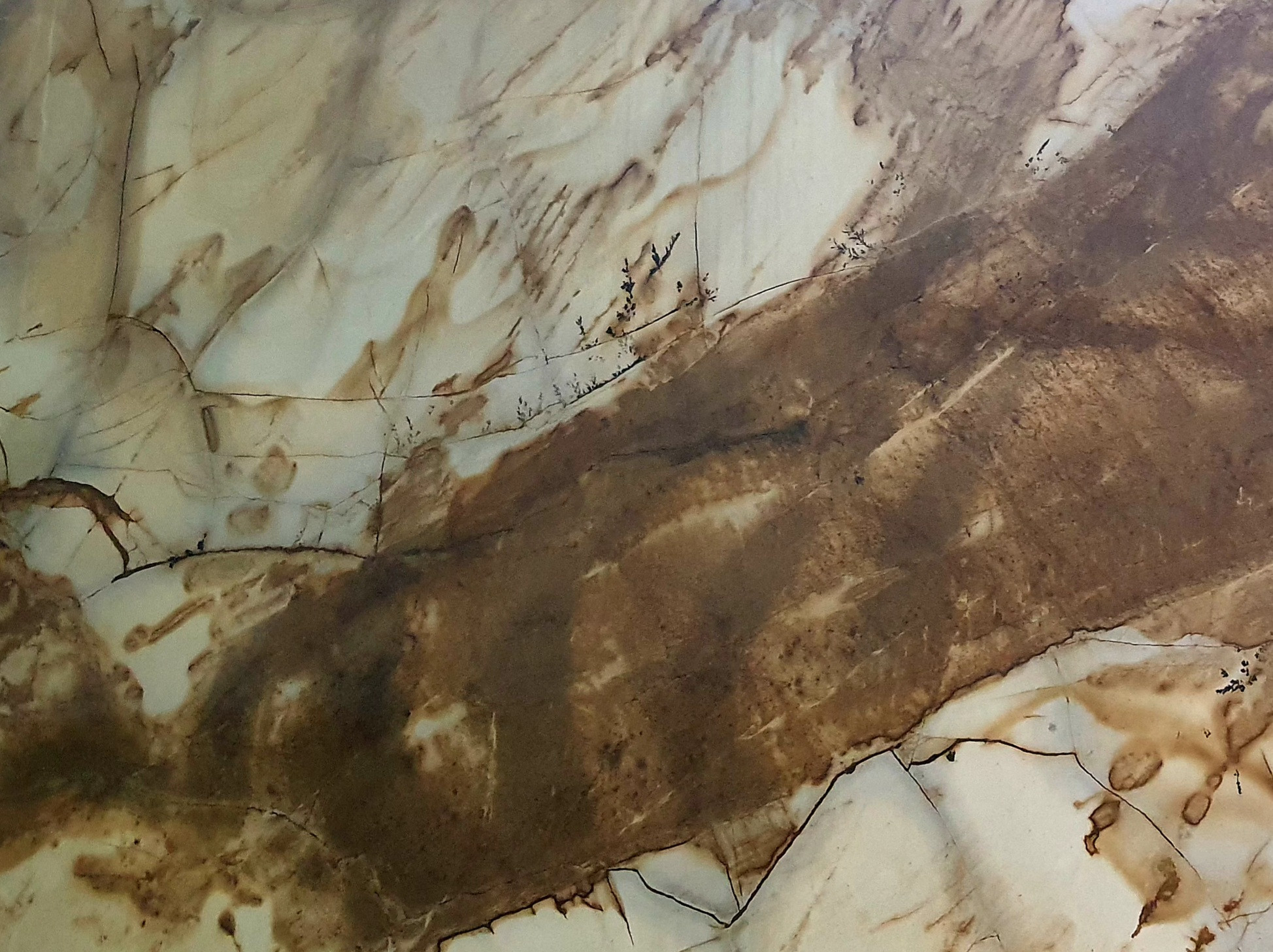Exotic Marble Supplier & Dealer Delhi NCR | Pedra Marmol | Pedra Marmol